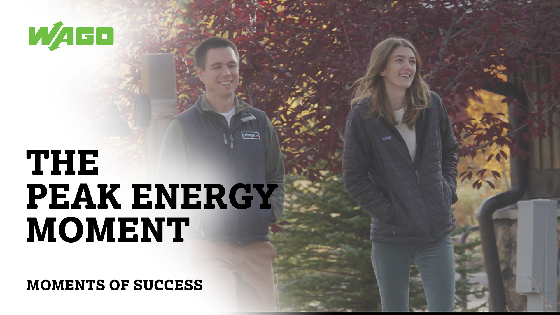 Energy - Solutions and Products | WAGO USA